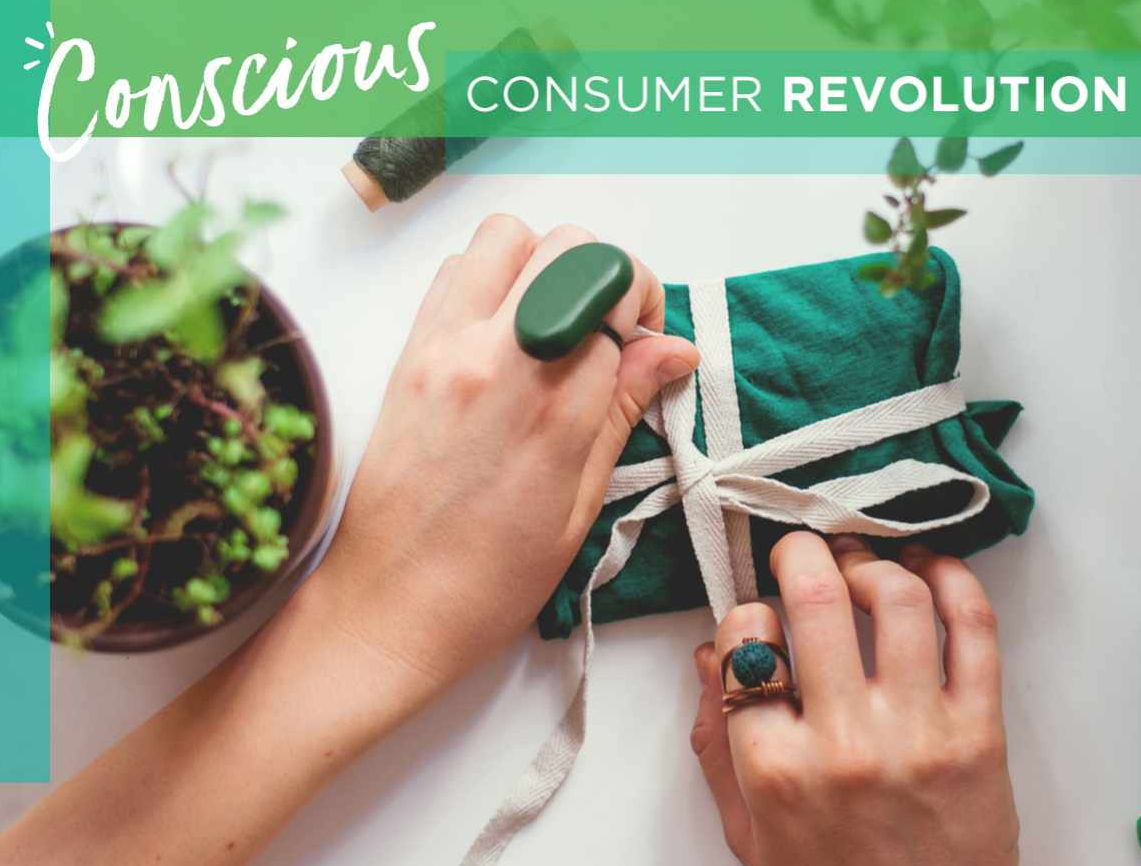 From Seventh Generation, a Conscious Consumer Revolution Holiday Gift ...
